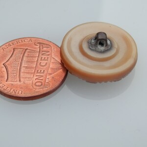 Floral Butterscotch Glass Vintage Button - Etsy