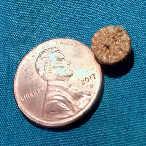 Hand Made Vintage Thread Button - Etsy