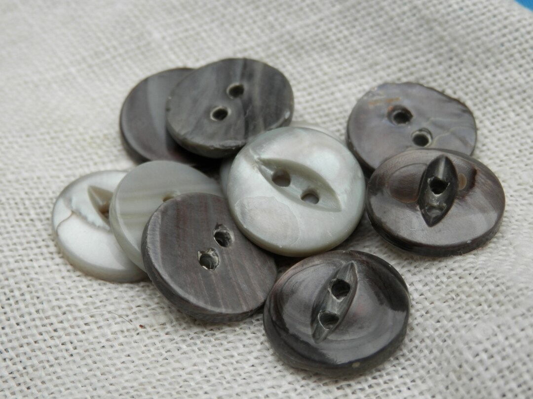 SET TEN Antique Smokey Shell Buttons Button Lot - Etsy