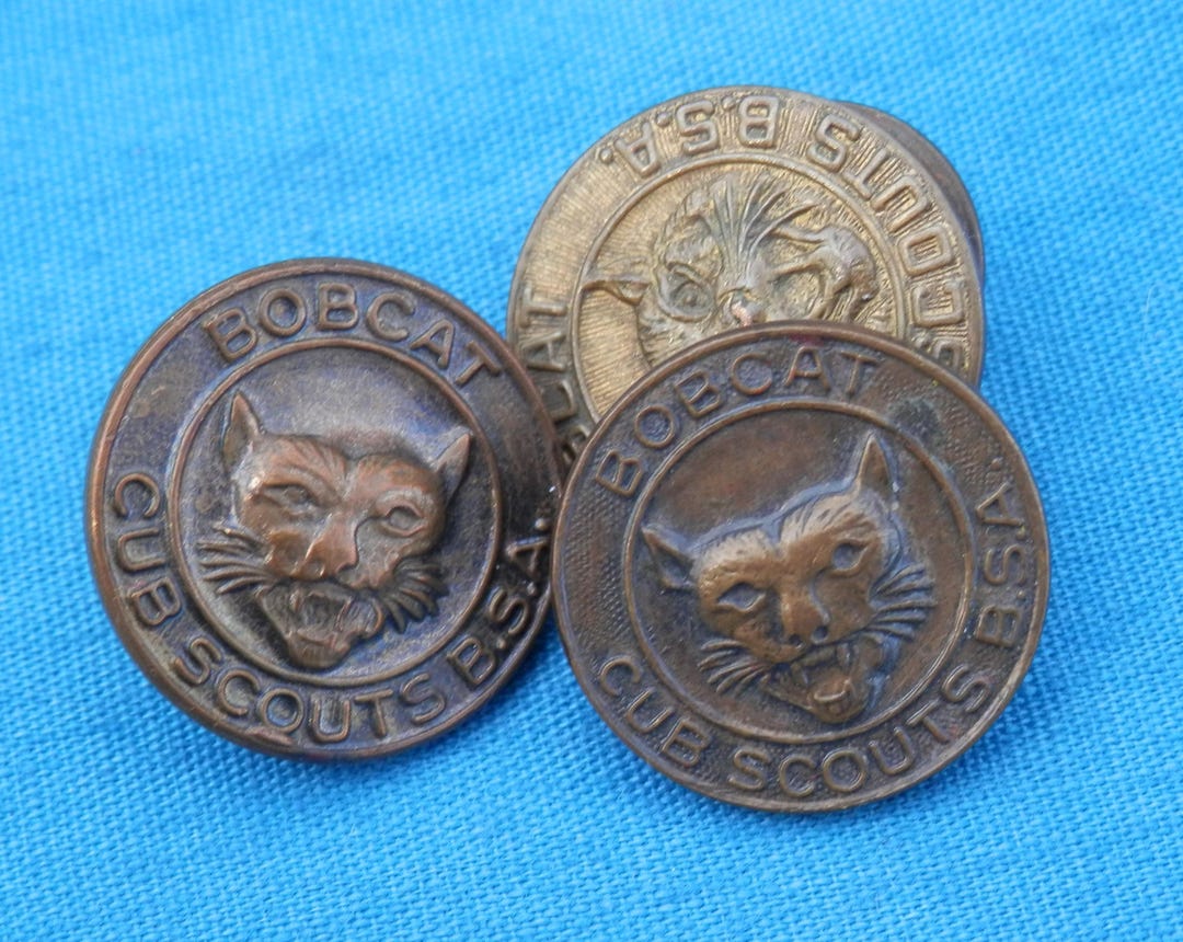 CUB SCOUTS Vintage Pin SET - Etsy