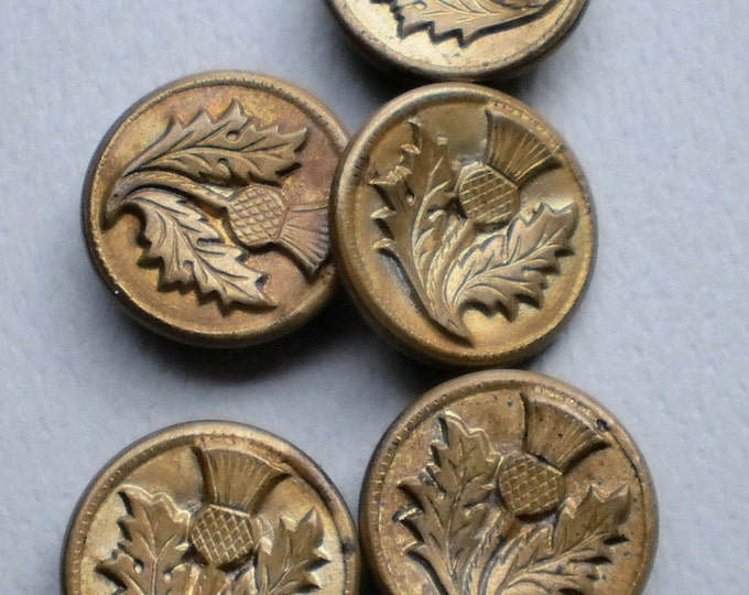 Set of Vintage Scottish Thistle Buttons - Etsy