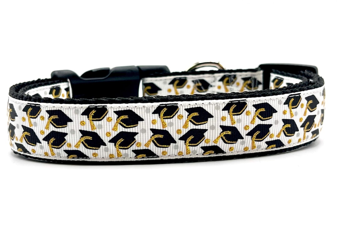 Graduation Dog Collar, Cap and Gown Dog Collar, Grads 2024, High School ...