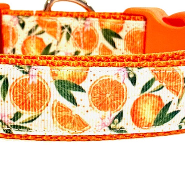 Orange Dog Collar - Etsy