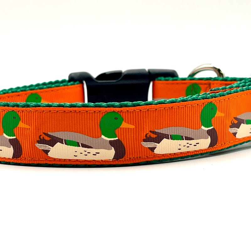Hunting Dog Collars - Etsy
