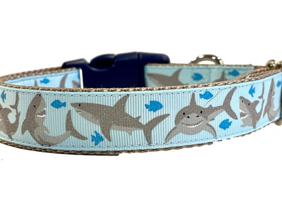 Shark Week Dog Collar, Shark Dog Collar, Shark Dog Leash, - Etsy