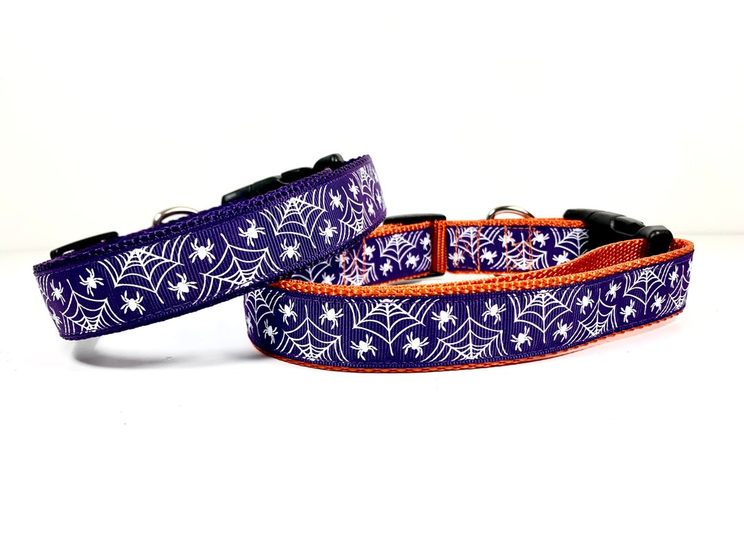 Halloween Glow in the Dark Dog Collar, Spider Dog Collar, - Etsy