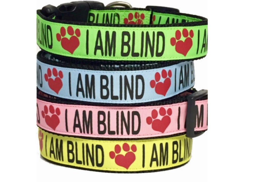 I Am Blind Dog Collar, Special Needs Dog Leash - Etsy