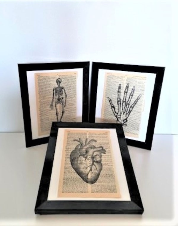 Tibia Thank You Card Funny Anatomy Card Thank You Card for - Etsy Canada