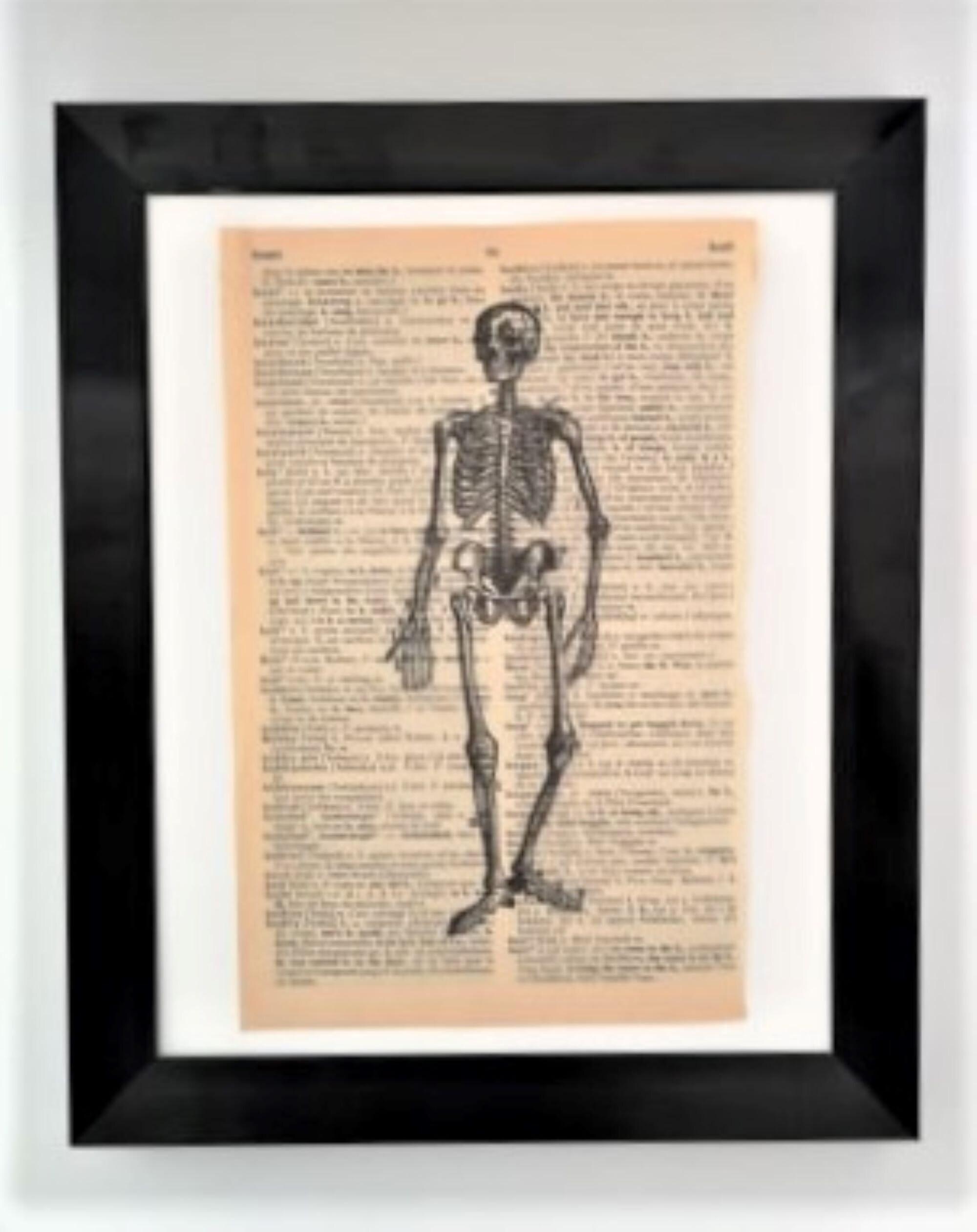 Human Body Set of 3 Dictionary Art Prints Hand Heart Skeleton - Etsy Canada