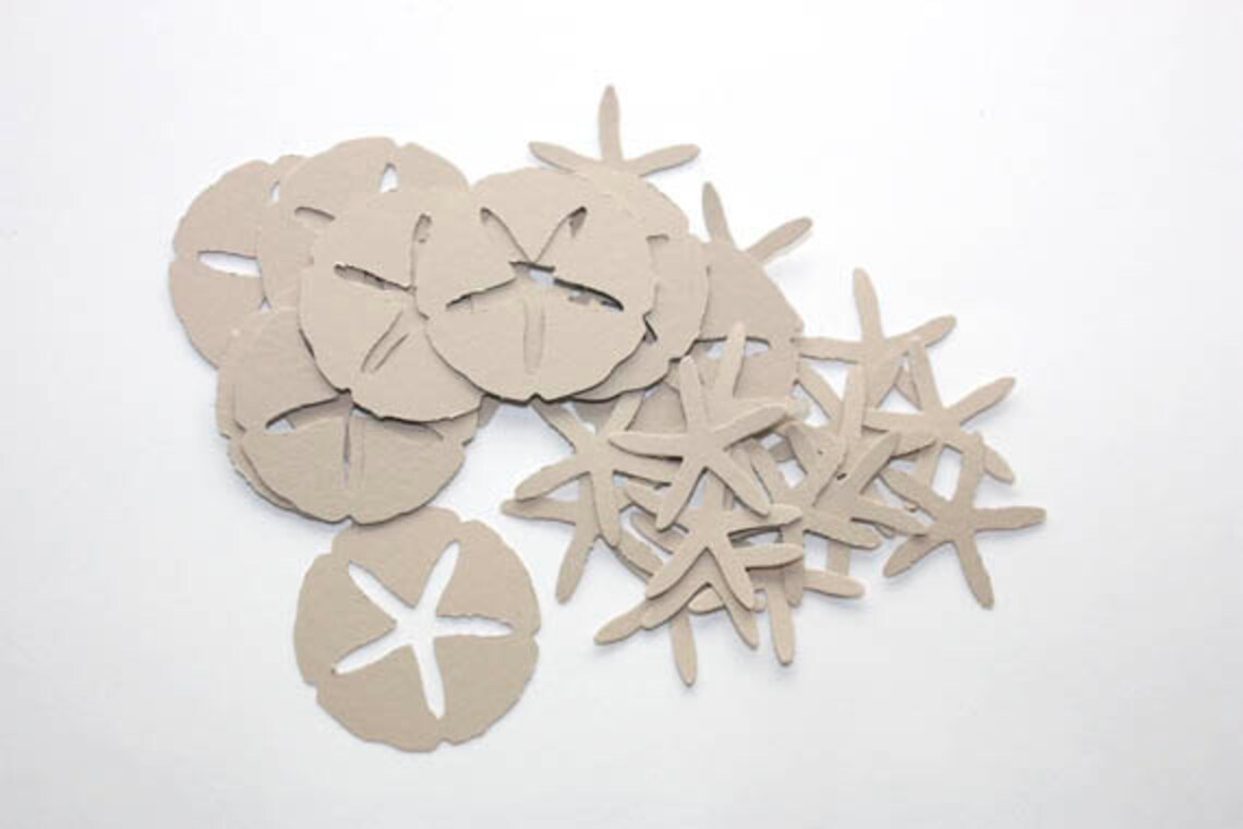 200 Beach Confetti, Sand Dollar Confetti and Star Fish Confetti, Beach ...