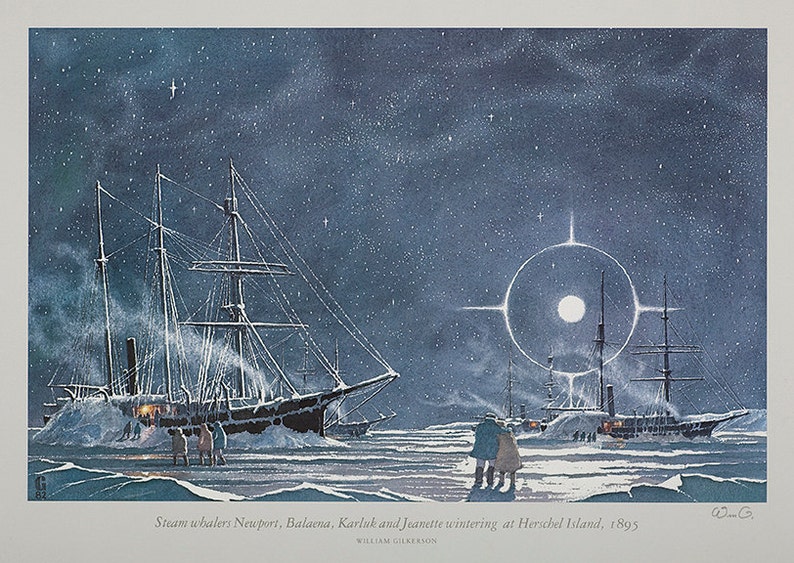Steamwhalers NEWPORT, BALAENA, Karluk and JEANETTE Wintering at Heschel ...