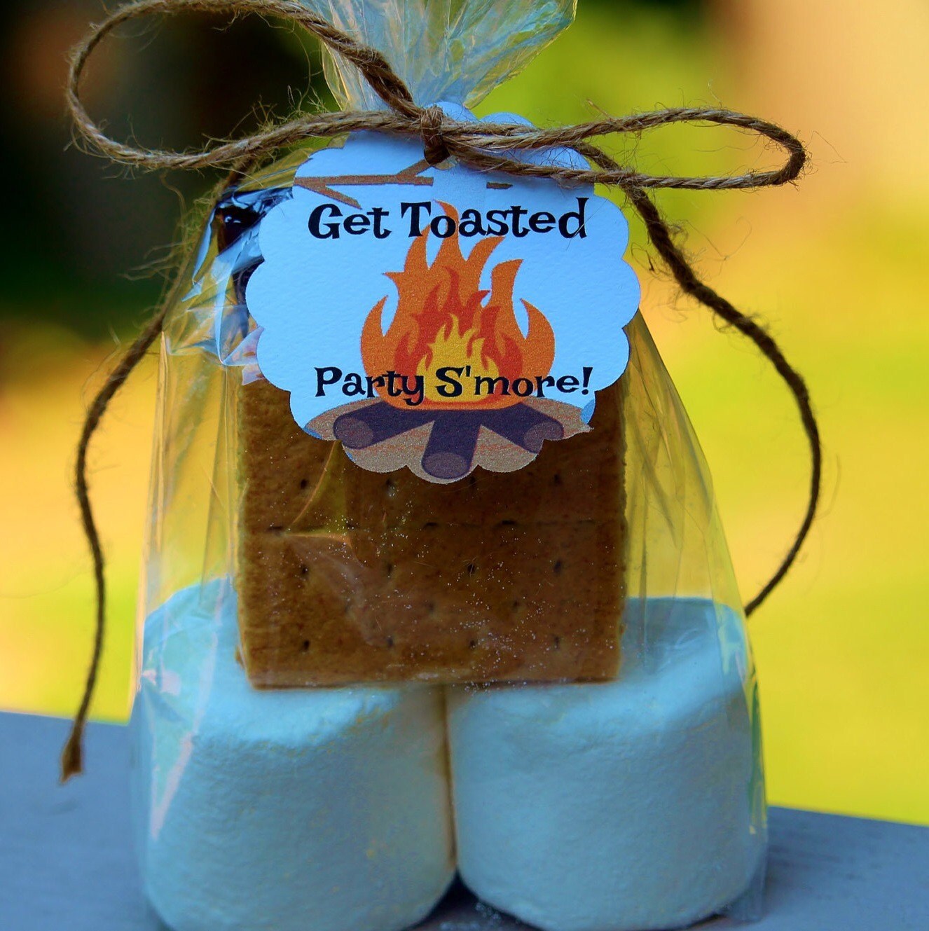 12 COMPLETE Smores DIY Kit Quarrentine Gift Smores Kits With Hersheys ...