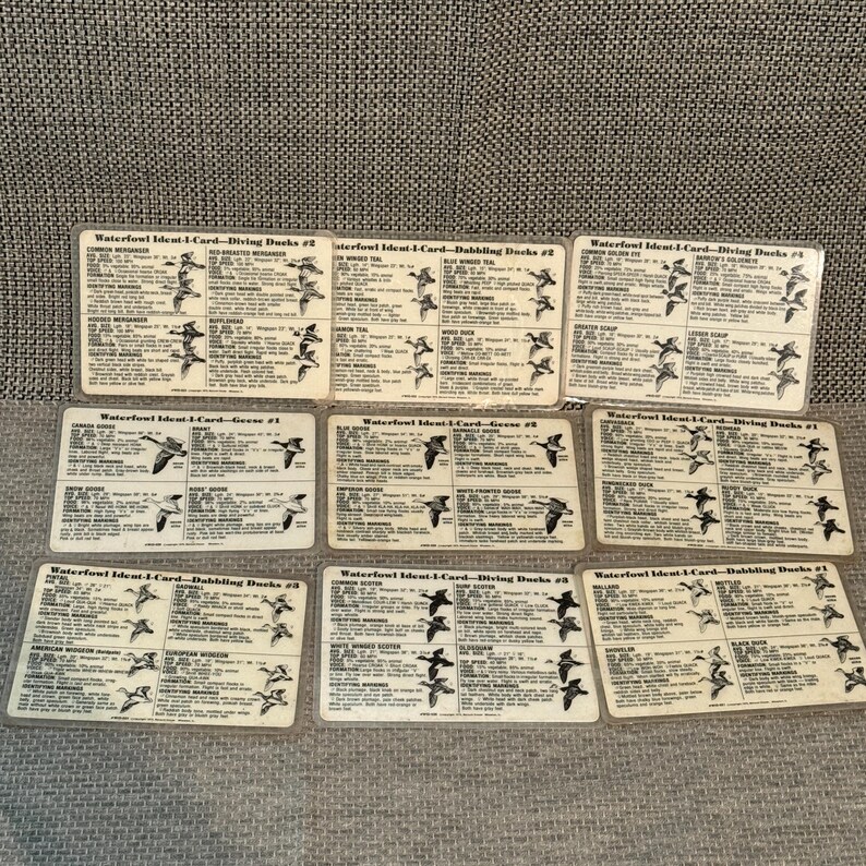 Hand Carved/painted Goldeneye Duck Decoy and Set of Ducks/geese ID ...