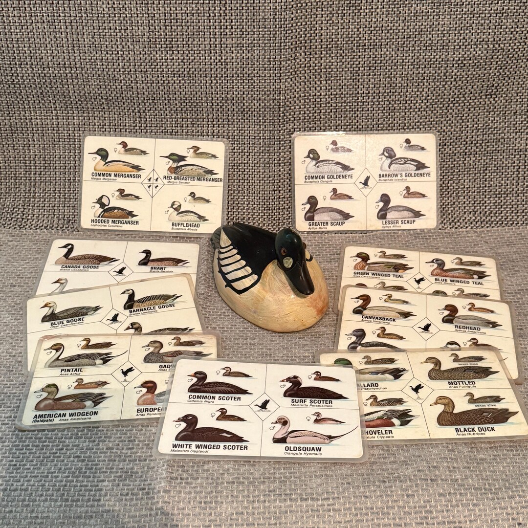 Hand Carved/painted Goldeneye Duck Decoy and Set of Ducks/geese ID ...