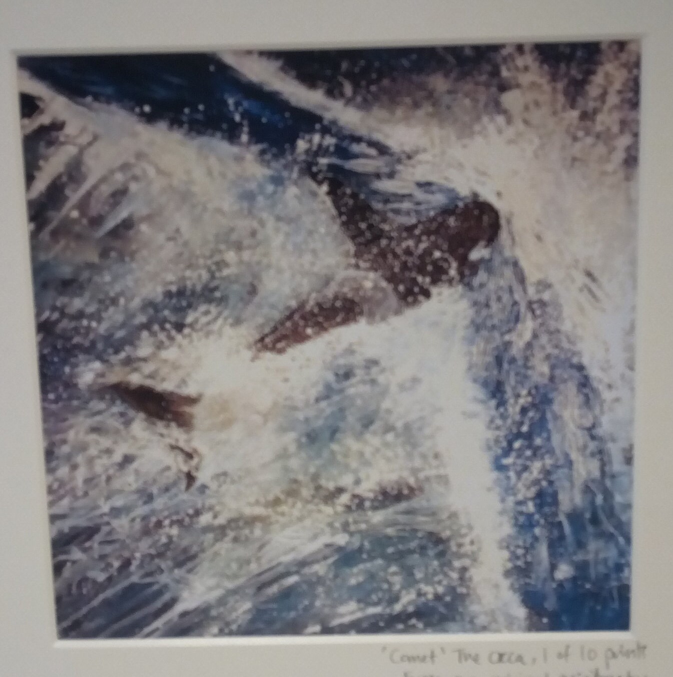 Cornet the Orca Art Greetings Cards by Cornish Artist - Etsy