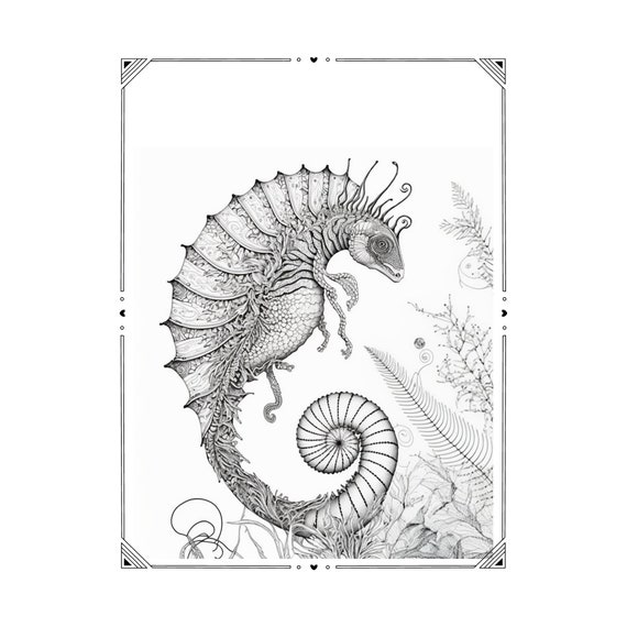 Coloring Pages Of Invertebrates