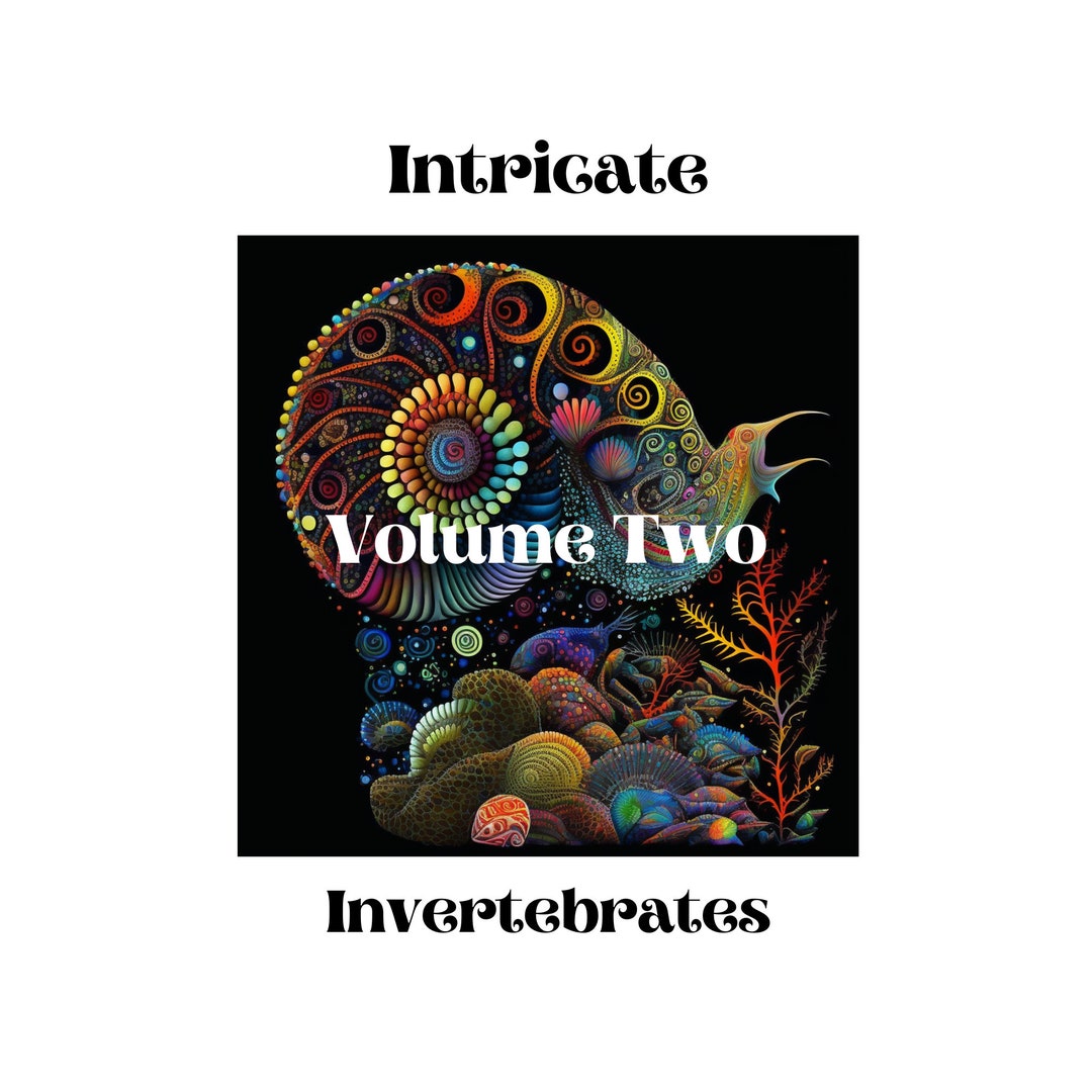 Invertebrates Volume 2! 25 Printable Coloring Pages! 8.5" by 11" - Etsy