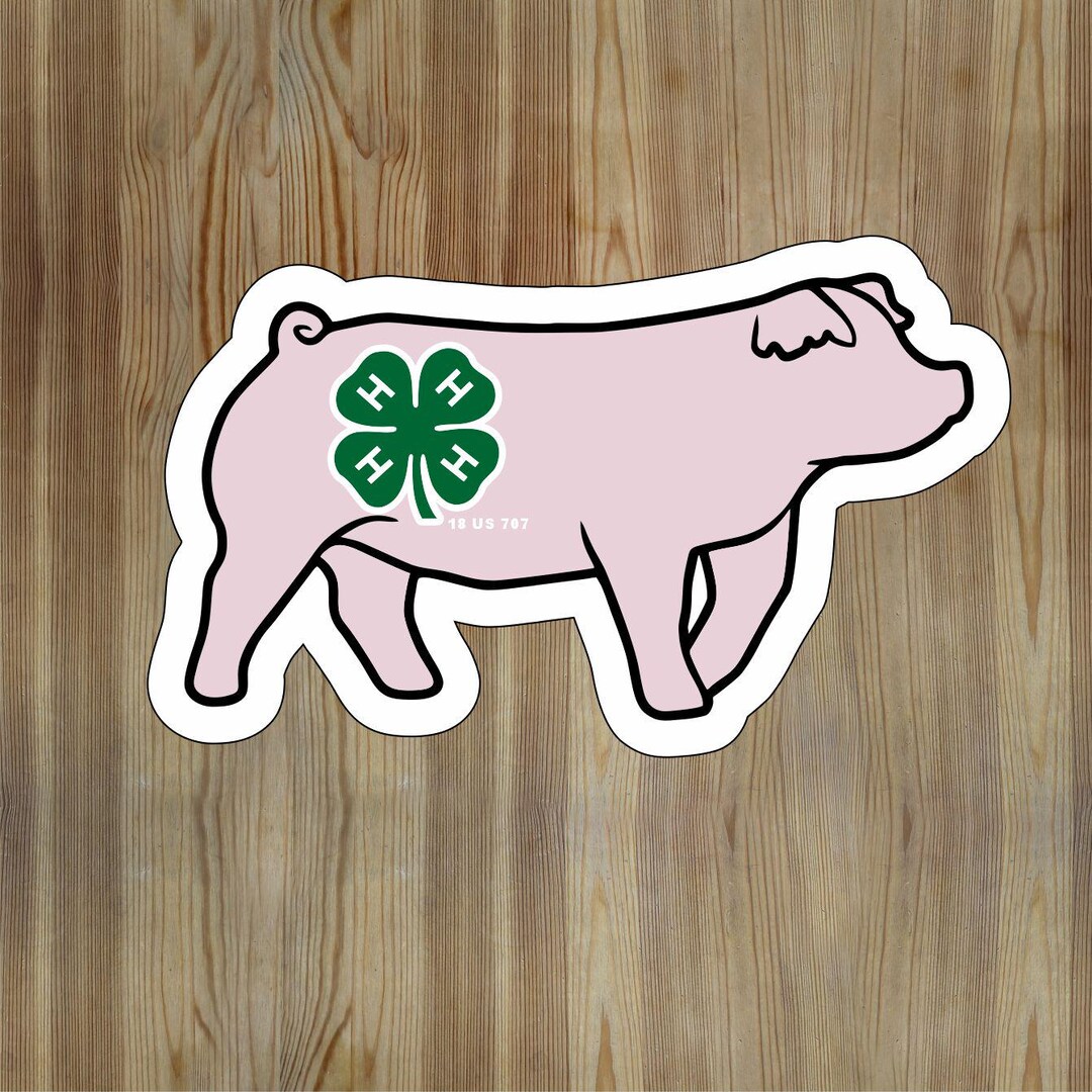 Chester White Pig 4-H Sticker/ Chester White Pig/ 4-h Sticker - Etsy