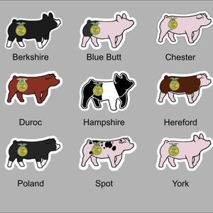 Pig FFA Sticker/ FFA Pig Sticker/ FFA Sticker - Etsy