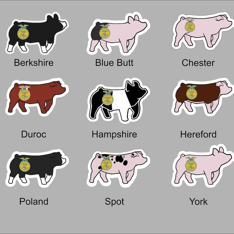 Ffa Pig Decals - Etsy