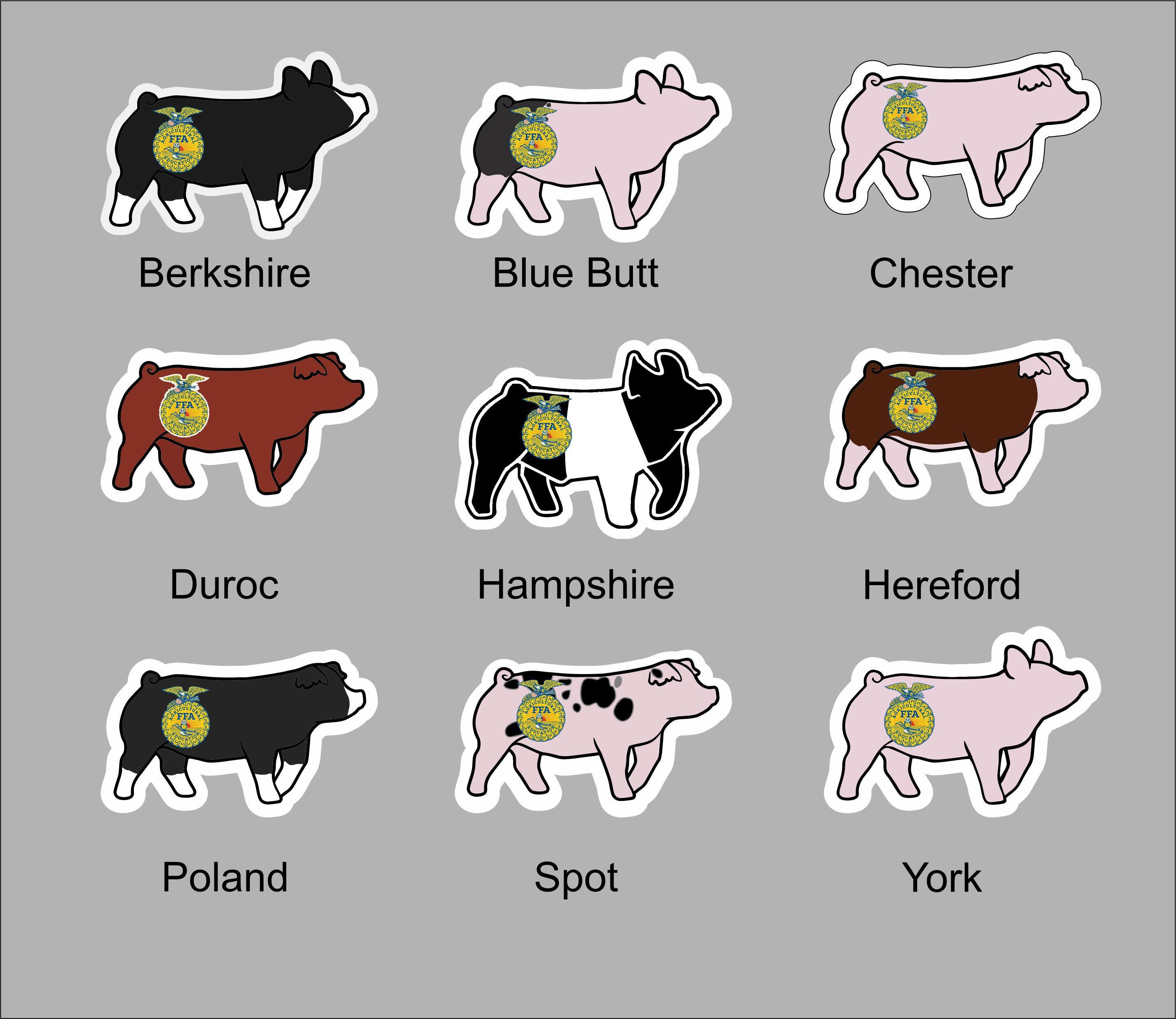 Pig FFA Sticker/ FFA Pig Sticker/ FFA Sticker - Etsy