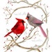Cardinals in Wreath With Personalization Print by Spaghetti - Etsy