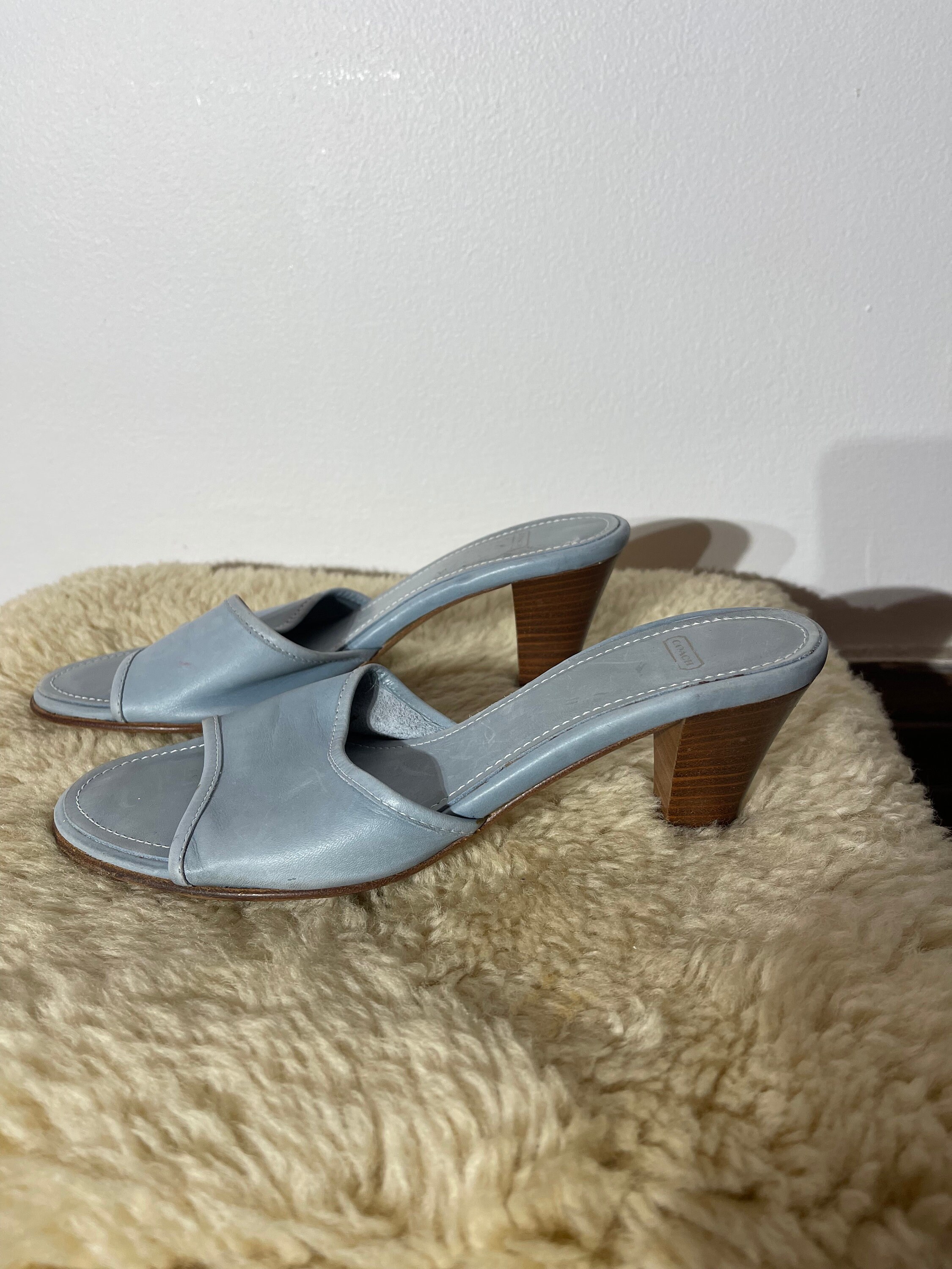 Baby Blue Coach Slide Block Heel Sandals Size 51/2 Italy - Etsy