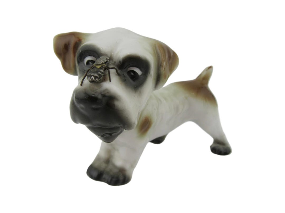 Vintage Sitzendorf Bonzo Dog With Fly on the Nose - Etsy