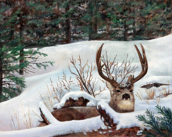 Winter Rest A Giclee Print of a Mule Deer in a Winter Scene - Etsy