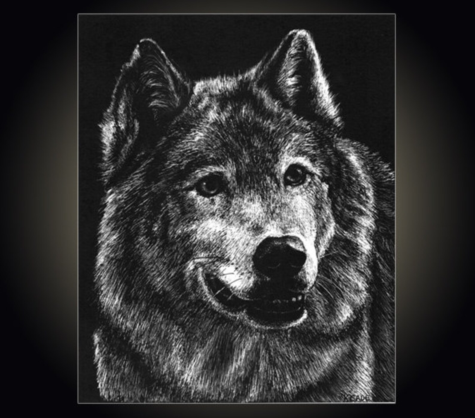 Lithograph Print wolf A Pen and Ink on Scratchboard Drawing of a Gray ...