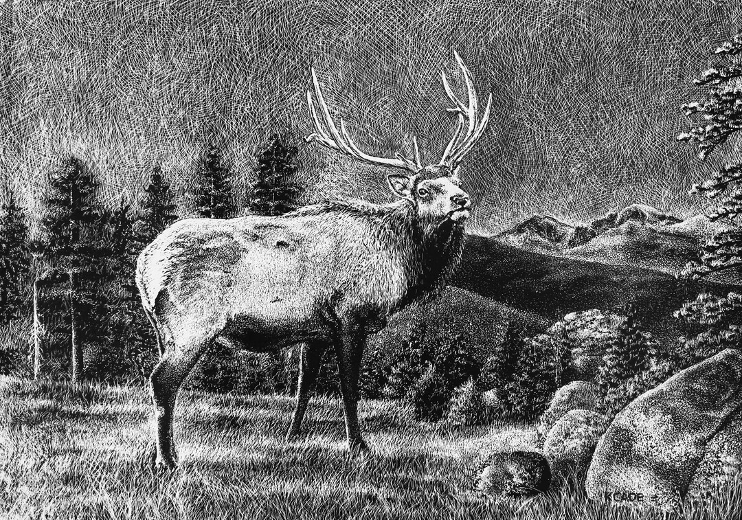 Limited Edition Lithograph Print: Majestic Elk Scratchboard Art - Etsy