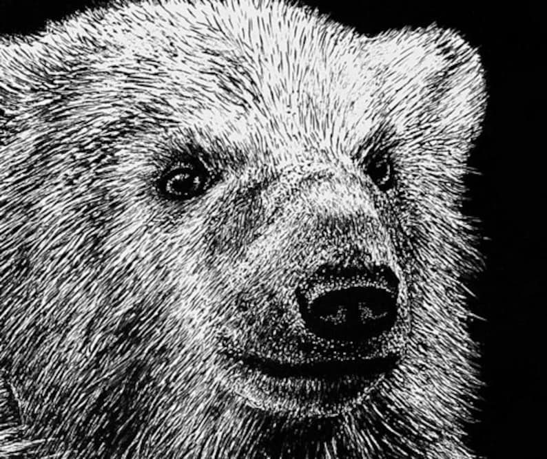 Lithograph Print "baby Bears" A Pen and Ink on Scratchboard Drawing of ...