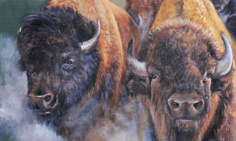 Buffalo Stampede Limited Edition Print Of Running American Buffalo In South Dakota Etsy