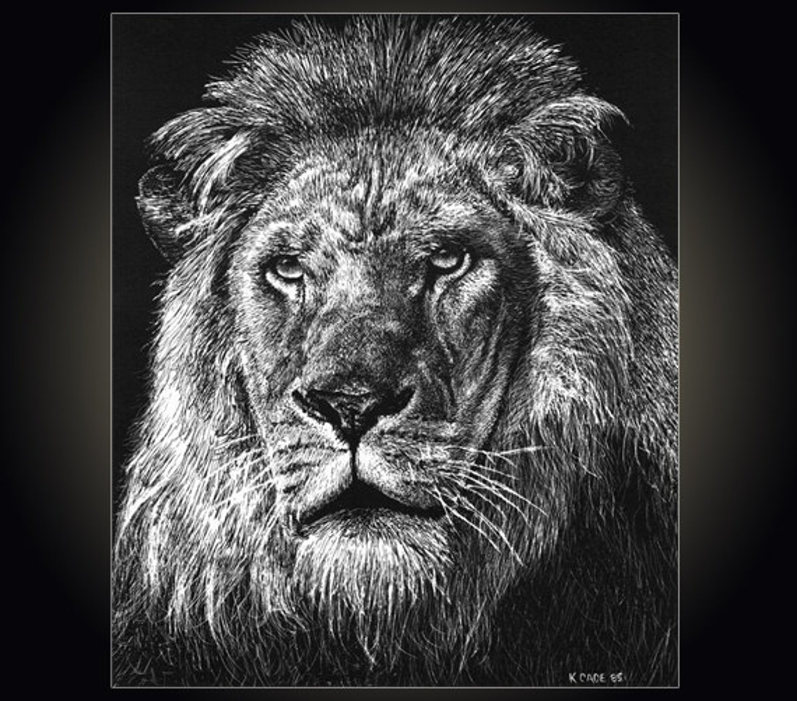 Lithograph Print "lion" A Pen and Ink on Scratchboard Drawing of a Lion ...