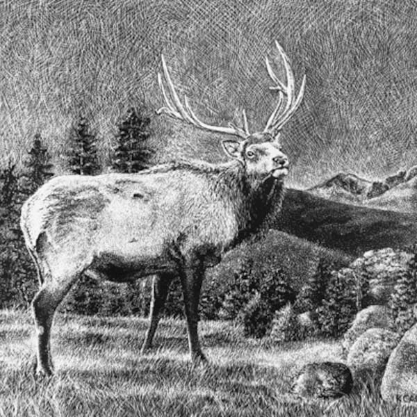 Elk Drawing - Etsy