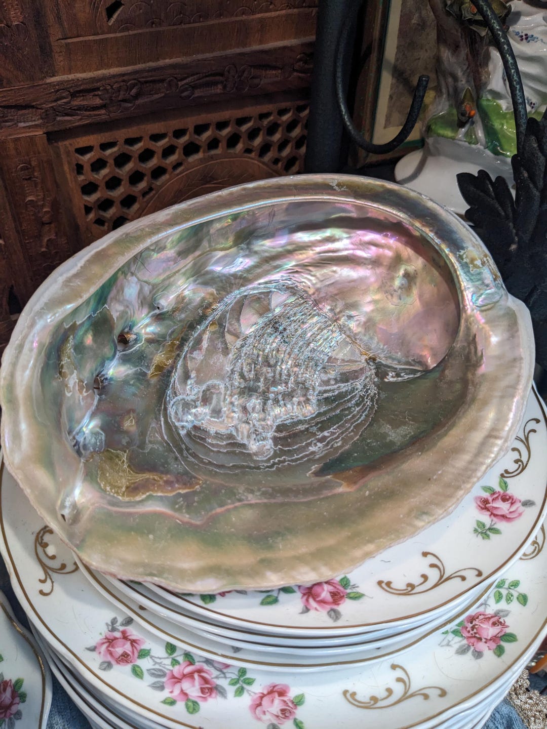 Vintage Big Mother-of-pearl Purple Sea Shell, Large Rare Shell, Mother ...