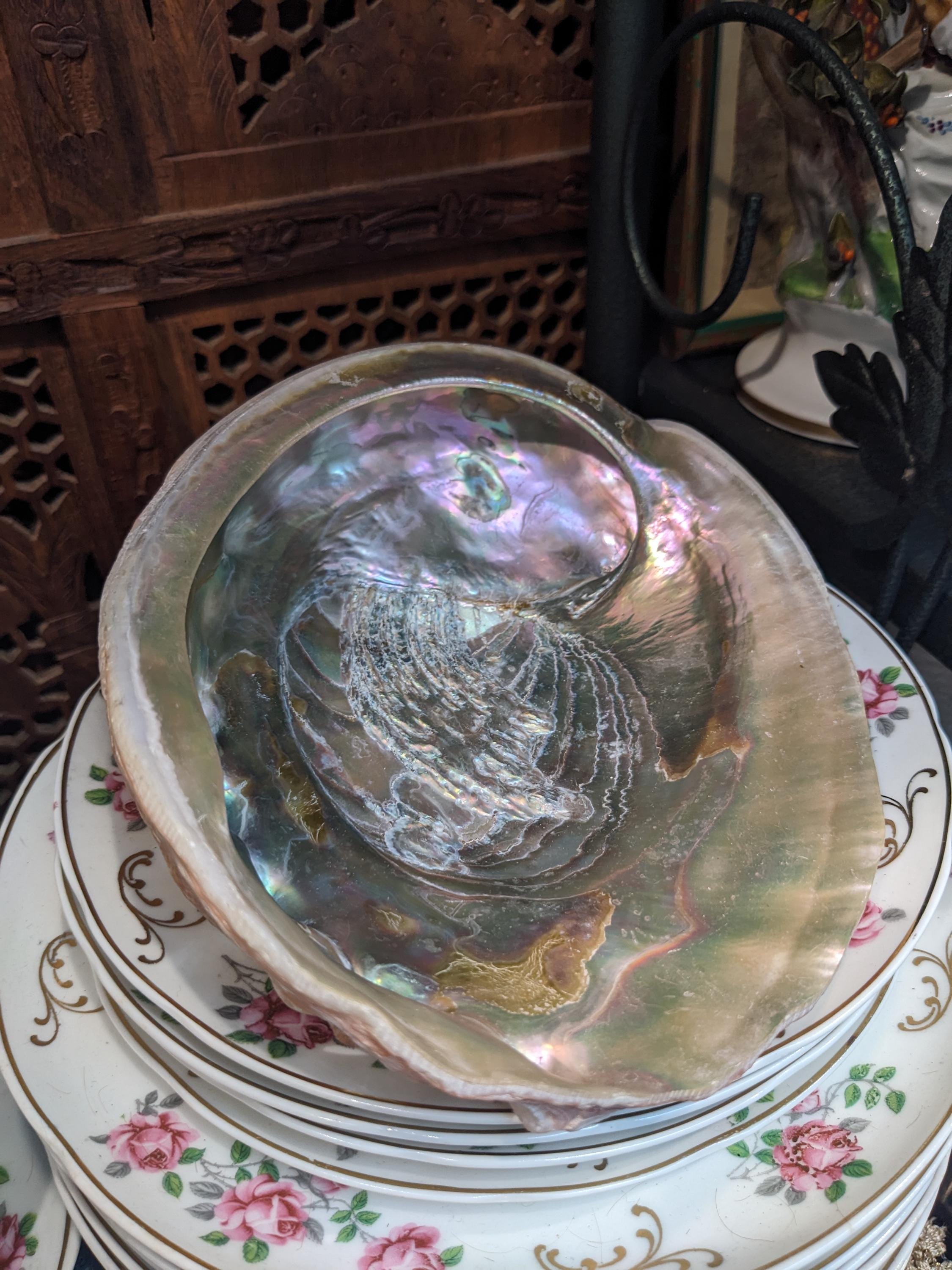 Vintage Big Mother-of-pearl Purple Sea Shell, Large Rare Shell, Mother ...