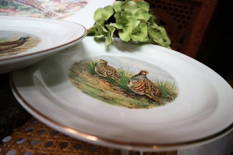 Vintage Set of Porcelain Dishes Birds Scenes // Tablesetting - Etsy