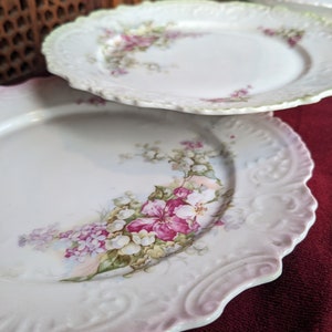 5 Antique Victorian Porcelain Floral Dessert Plates Pink Blue Green ...