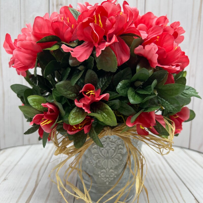 BlueLanternDesignLLC - Etsy