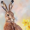 SPRING HARE Fine Art Giclee Prints From My Acrylic on Canvas Wildlife ...
