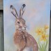 SPRING HARE Fine Art Giclee Prints From My Acrylic on Canvas Wildlife ...