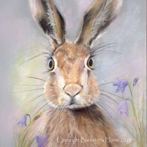 HARE & HAREBELLS, Fine Art Giclee Prints From My Pastel Artwork ...