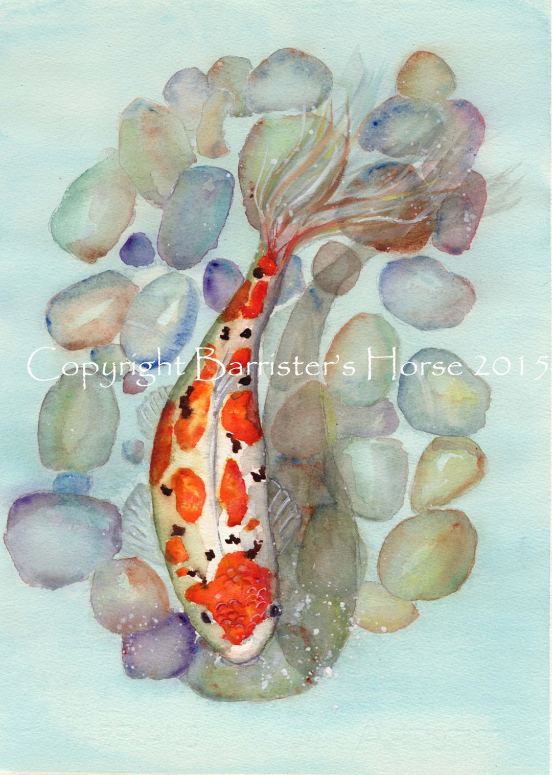Koi Carp, Fish, Fine Art, Giclee Watercolour Painting Print A4 ...