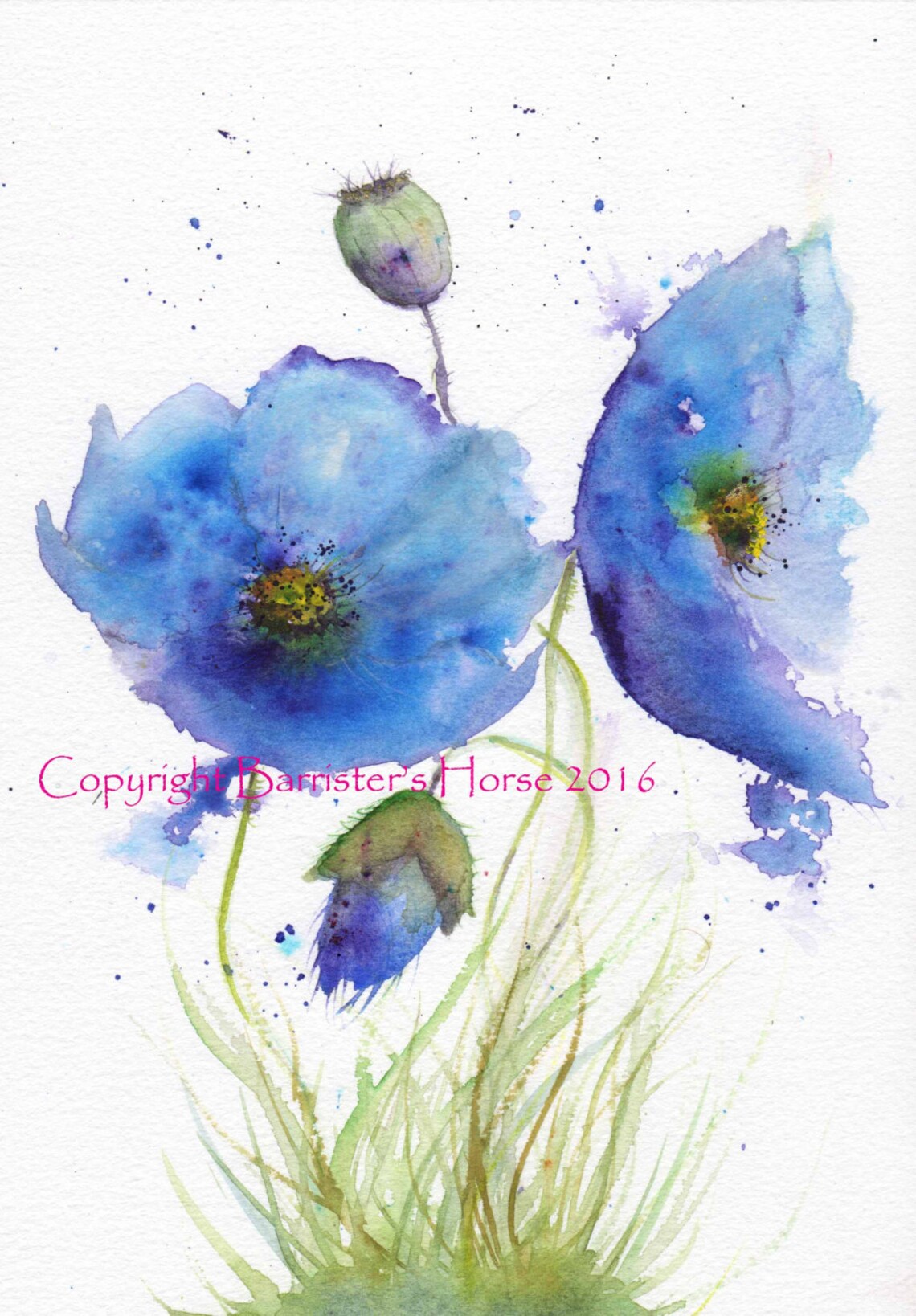 BLUE POPPIES fine art Giclee Watercolour Painting Print A4. | Etsy