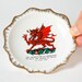Decorative Plate From Welsh. Red Dragon Plate Small Pottery Fine Bone ...