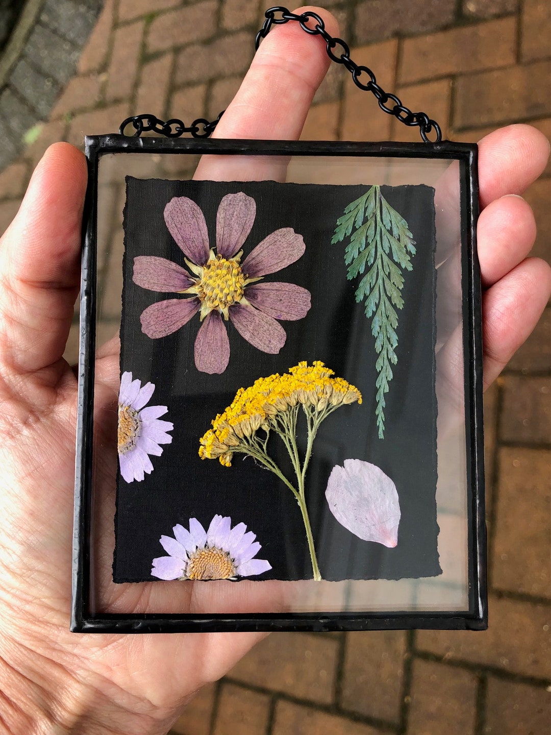 Pressed Flower Frame, Pressed Flower Art, Pressed Flowers, Floral Hang ...