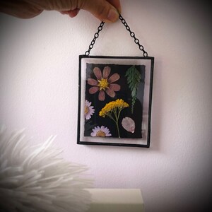 Pressed Flower Frame, Pressed Flower Art, Pressed Flowers, Floral Hang ...