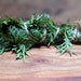 Cedar Smudge - Etsy