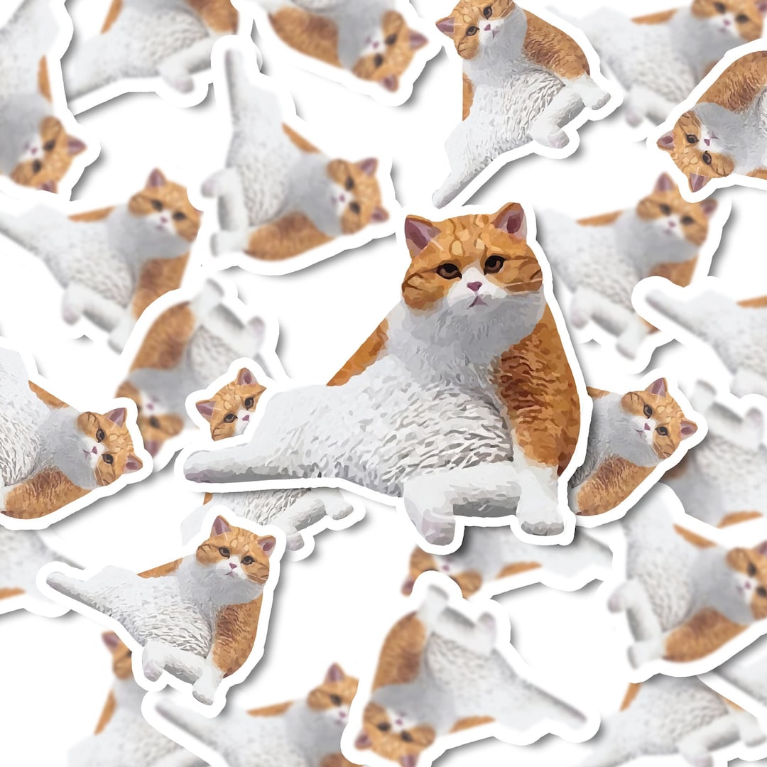 Fat Cat Sticker Kitten Decal Cute Stickers Water Bottle Art Laptop ...